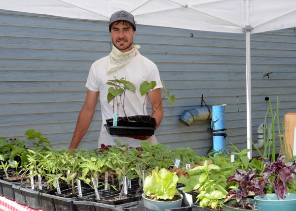 Farmer’s Market spotlight: Organic vegetables and herbs from Mansfield ...