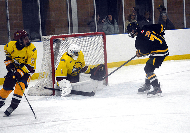 Alliston Hornets hockey team win back-to-back games | New Tecumseth Times