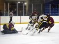 New Tecumseth Times