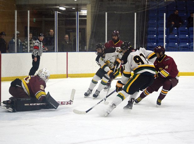 Alliston Hornets hockey team finish 2024 in first place | New Tecumseth ...