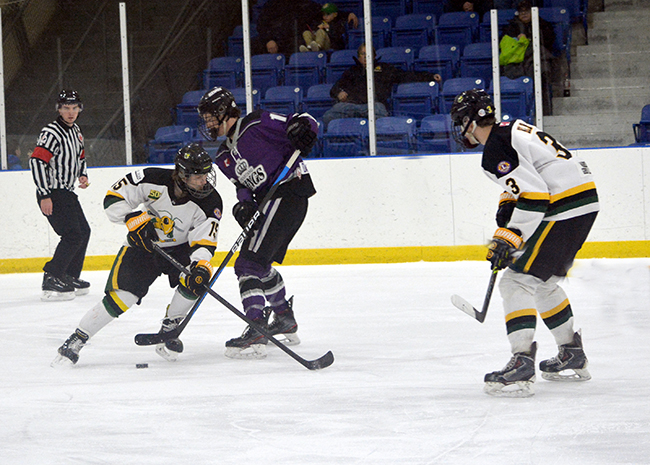 Alliston Hornets tied for first after win over Penetang Kings | New ...