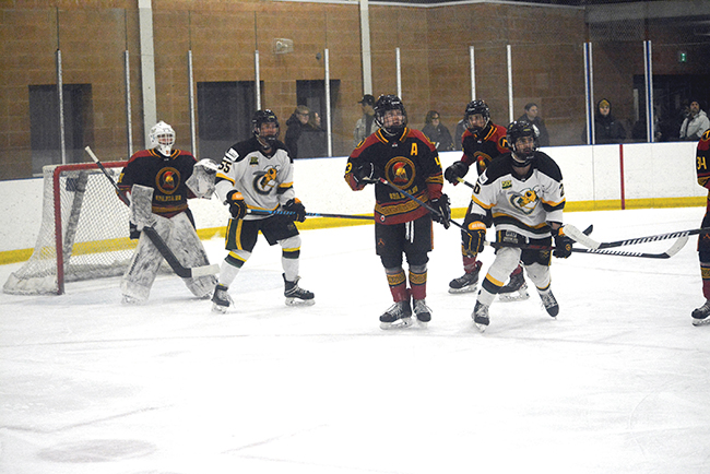 Alliston Hornets sting competition with 11-game win streak | New ...